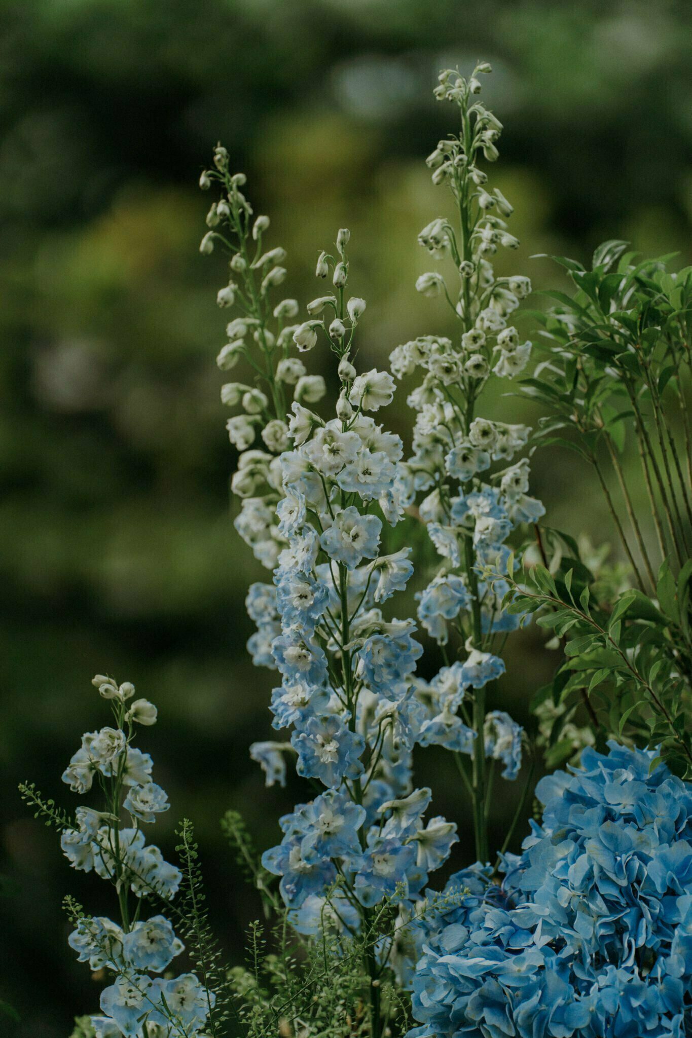 Blue Garden - A garden wedding at InterContinental Danang
